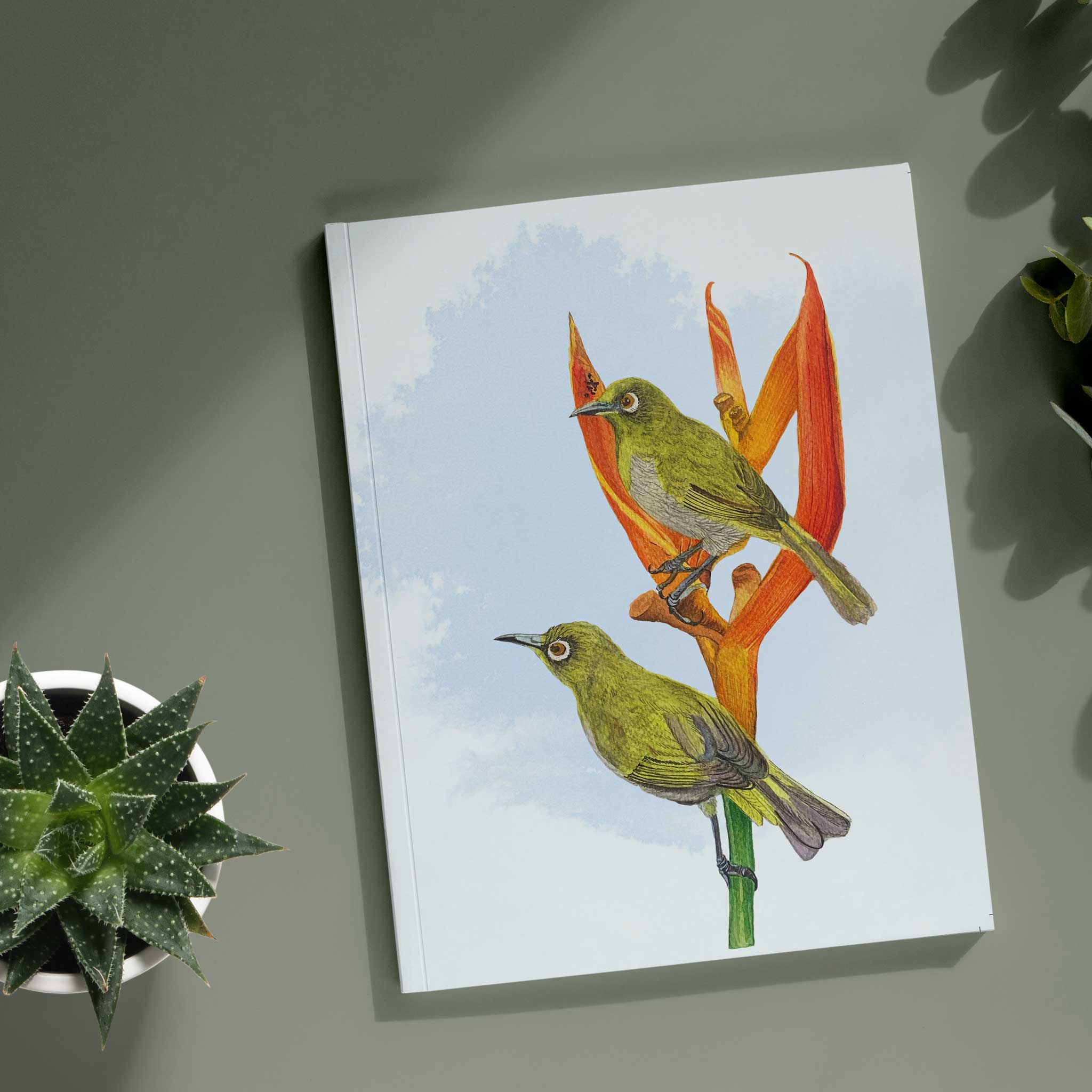 Tiny Whispers - Indian White Eye - Birds of India - Notebook